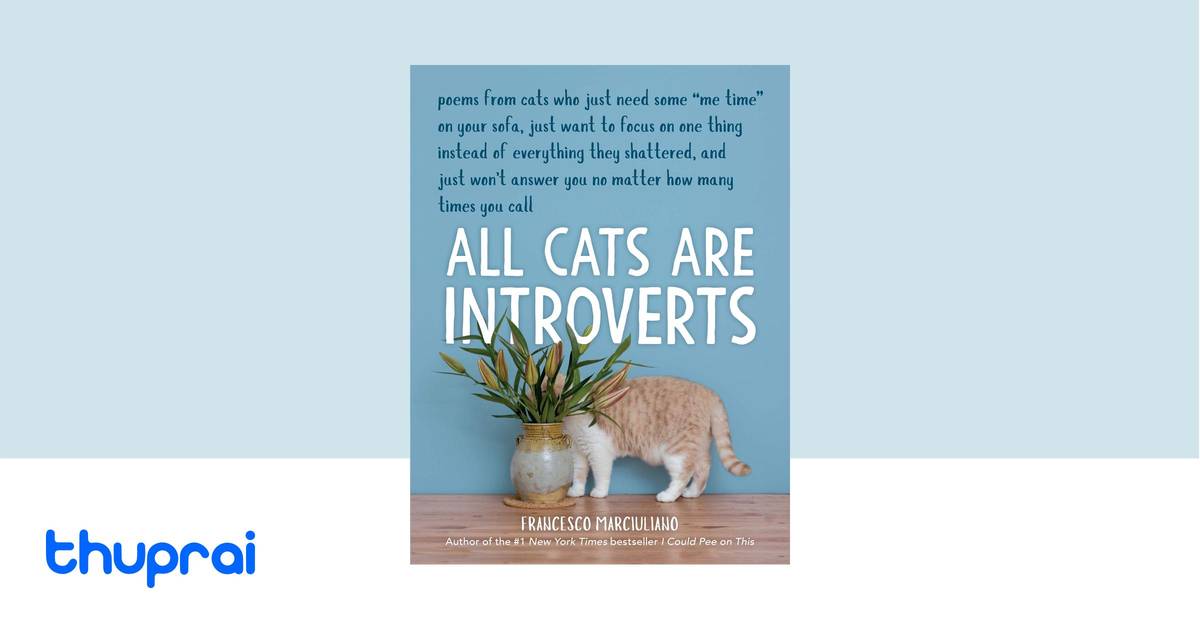 Buy All Cats Are Introverts in Nepal | Thuprai
