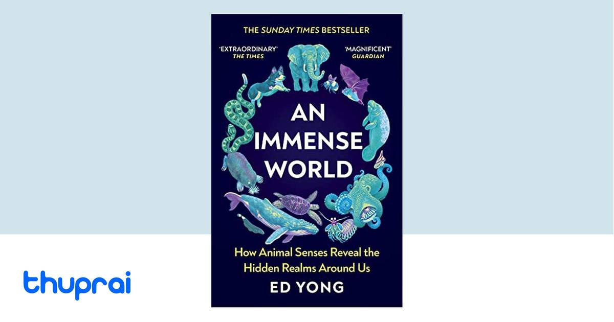 Buy An Immense World in Nepal | Thuprai