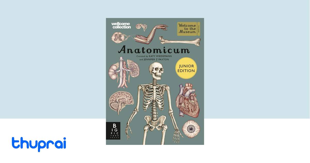 Anatomicum Junior (Welcome To The Museum) by Jennifer Z. Paxton - Buy ...