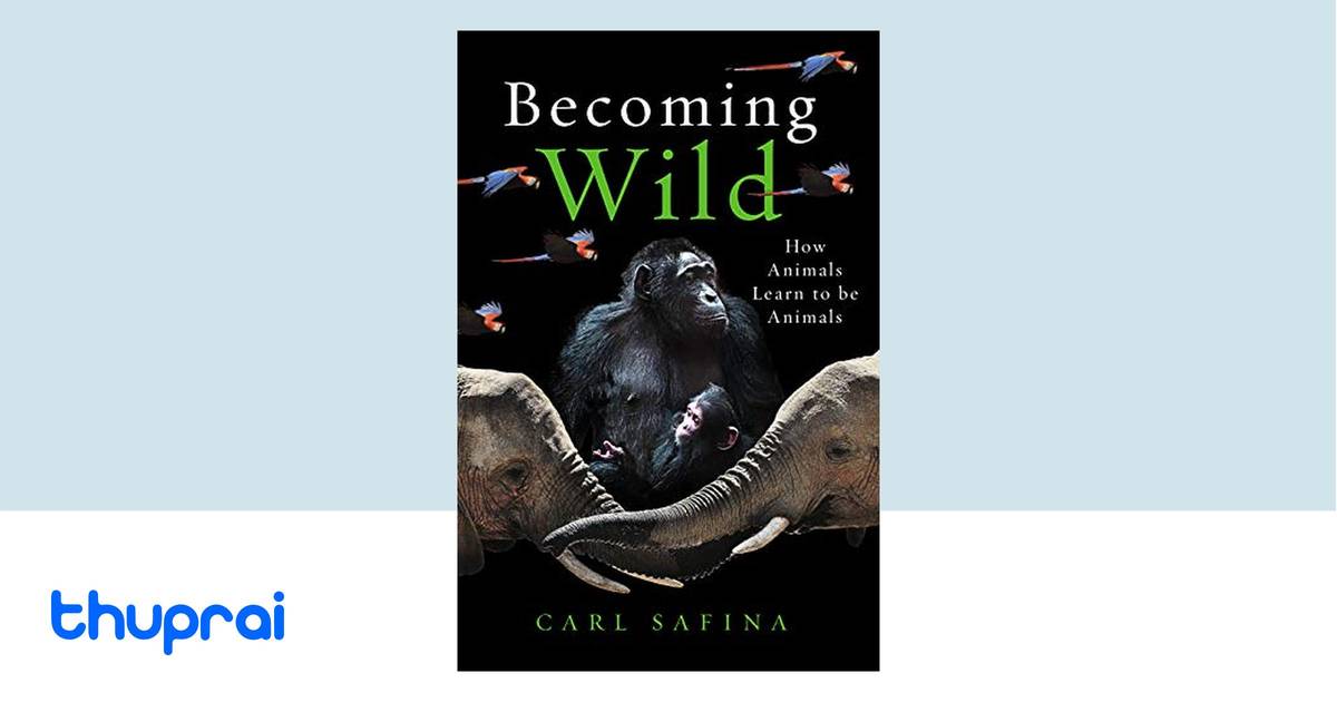 Buy Becoming Wild in Nepal | Thuprai