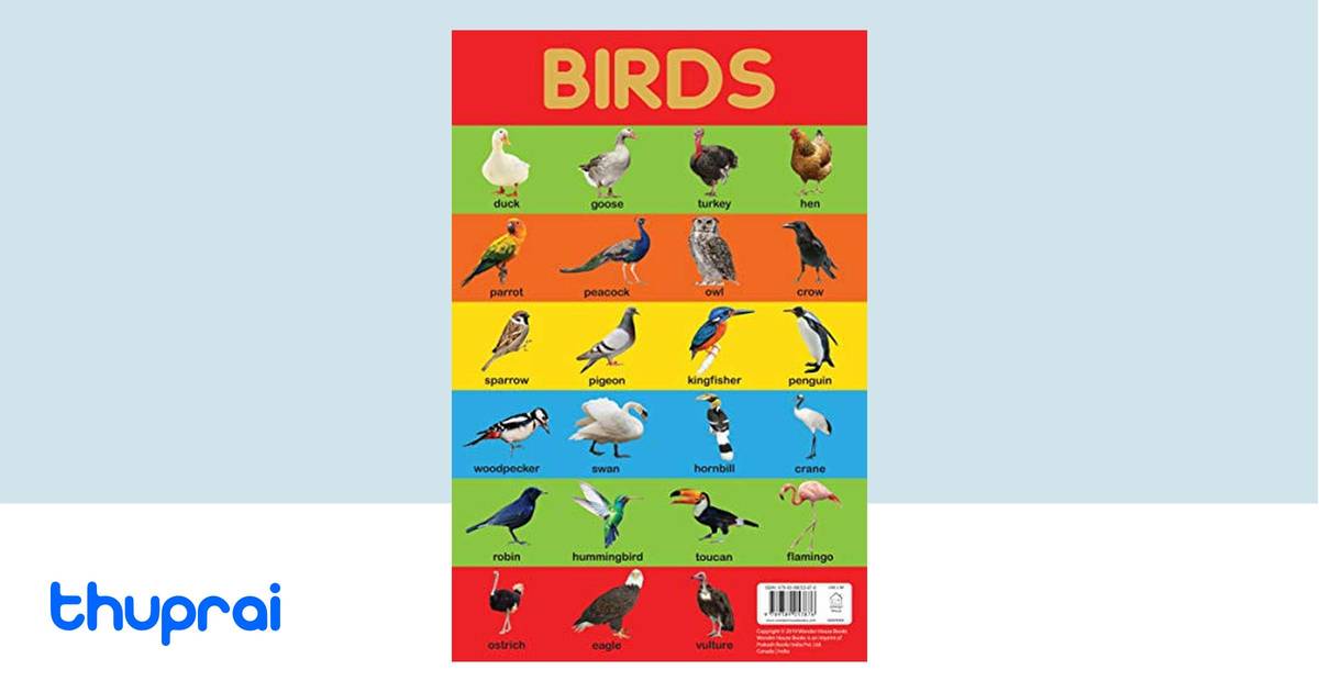 Buy Birds Chart - Early Learning Educational Chart For Kids: Perfect ...