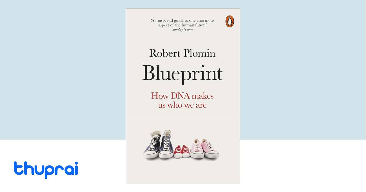 Buy Blueprint in Nepal | Thuprai