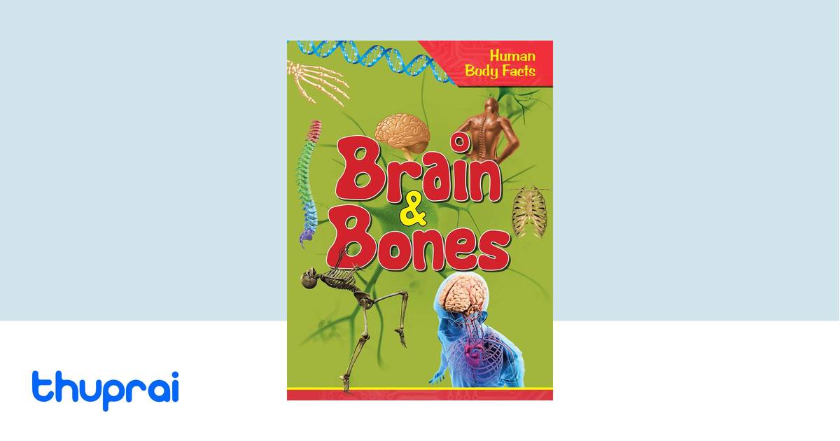 Buy Brain & Bones : Human Body Facts in Nepal | Thuprai