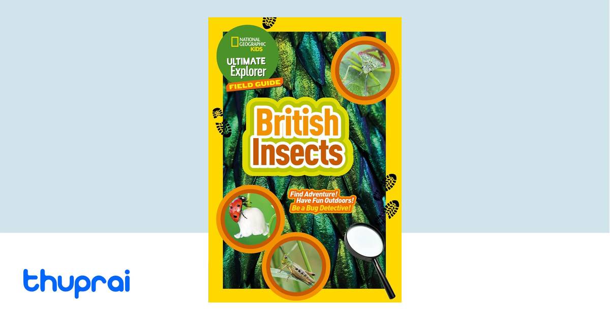 Buy British Insects in Nepal | Thuprai