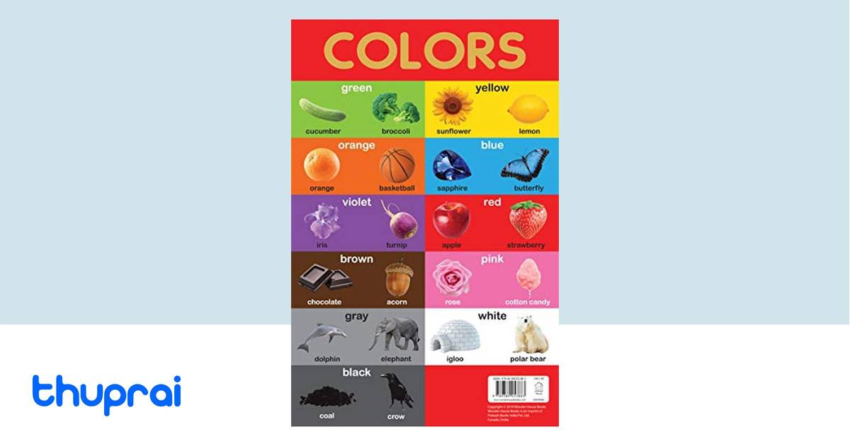 Buy Colors Chart - Early Learning Educational Chart For Kids: Perfect ...