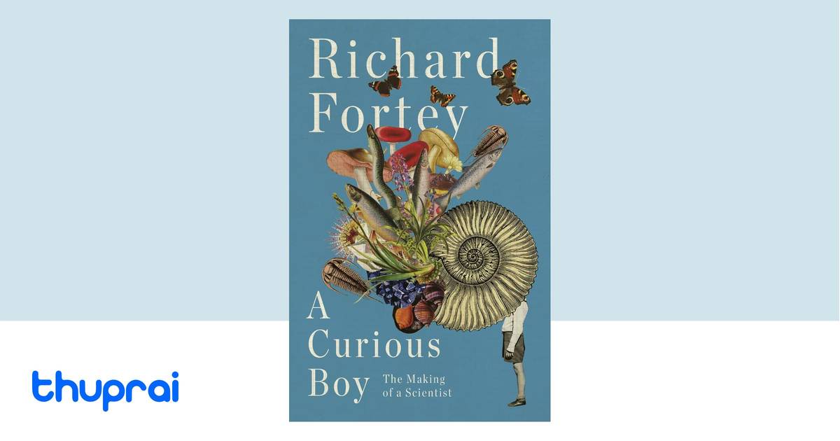 Buy Curious Boy in Nepal | Thuprai