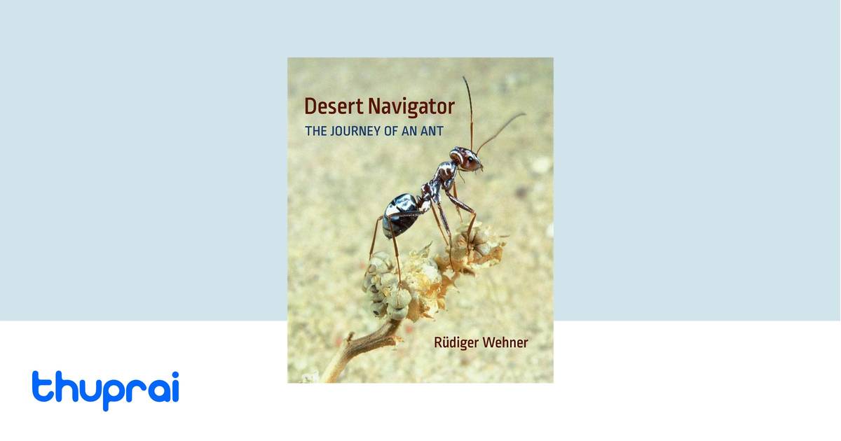 Buy Desert Navigator: The Journey of an Ant in Nepal | Thuprai