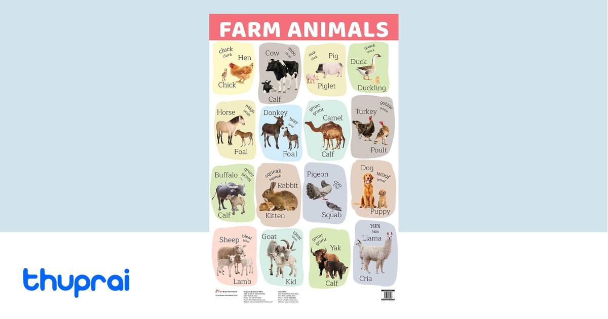 Buy Farm Animals : Charts in Nepal | Thuprai