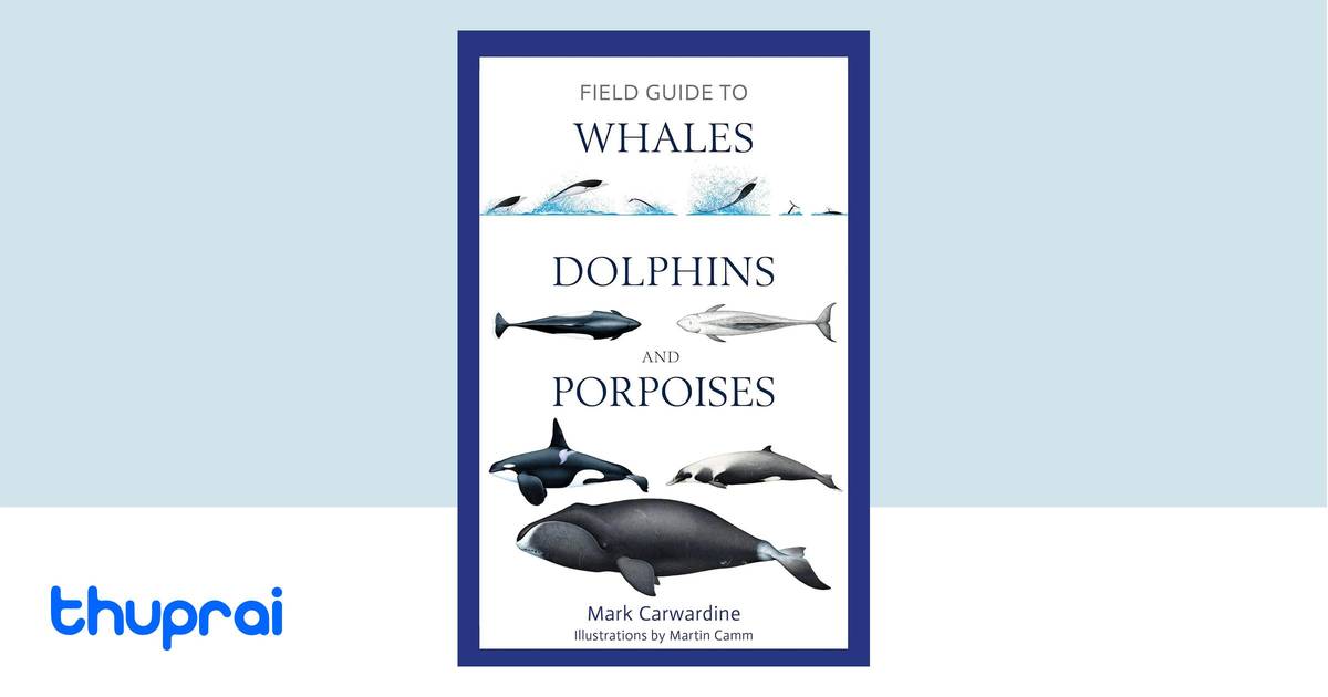 Buy Field Guide to Whales, Dolphins and Porpoises in Nepal | Thuprai