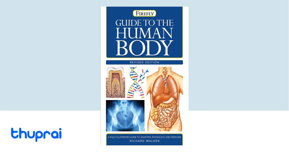 Firefly Guide to the Human Body by Richard Walker - Buy in Nepal | Thuprai