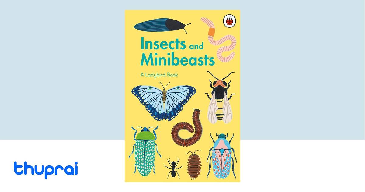 Buy Insects and Minibeasts in Nepal | Thuprai