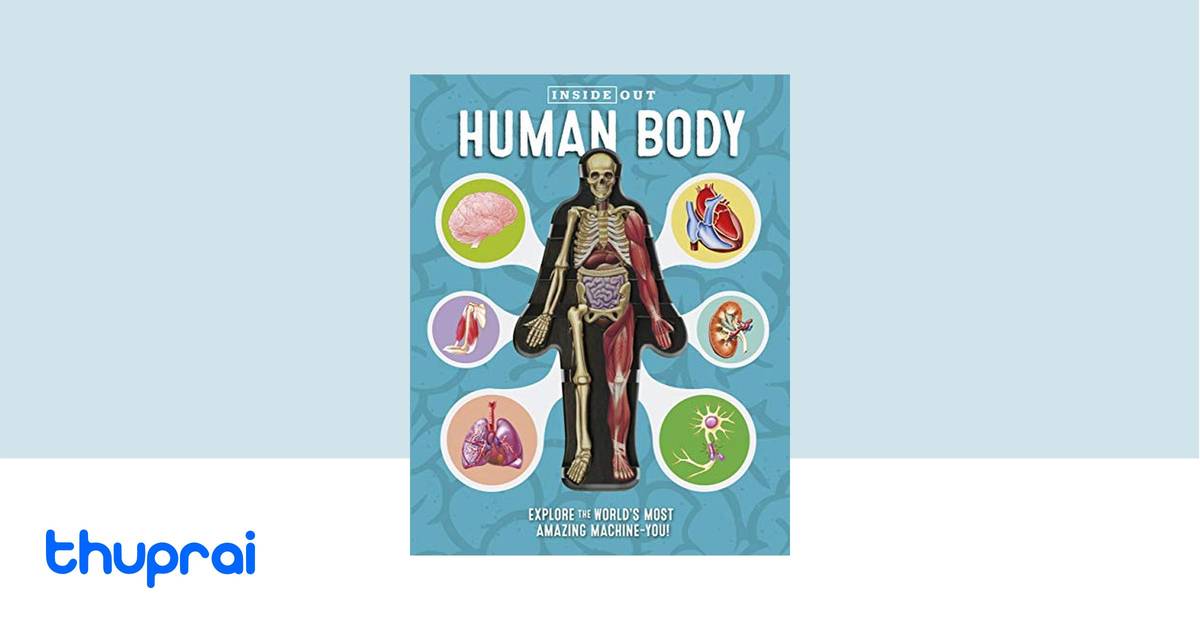 Buy Inside Out Human Body: Explore the World's Most Amazing Machine-You ...