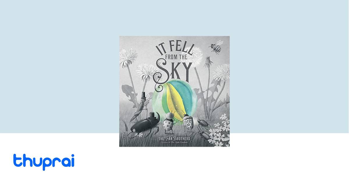 It Fell From The Sky by Terry Fan - Buy in Nepal | Thuprai