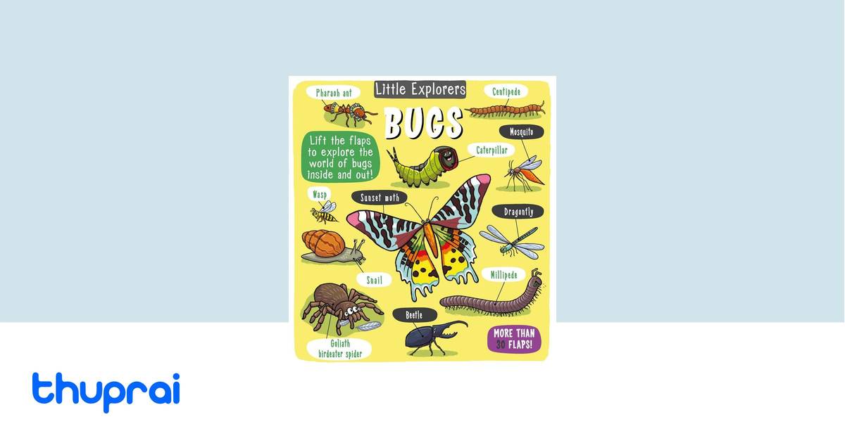 Little Explorers: Bugs by Little Bee Books - Buy in Nepal | Thuprai