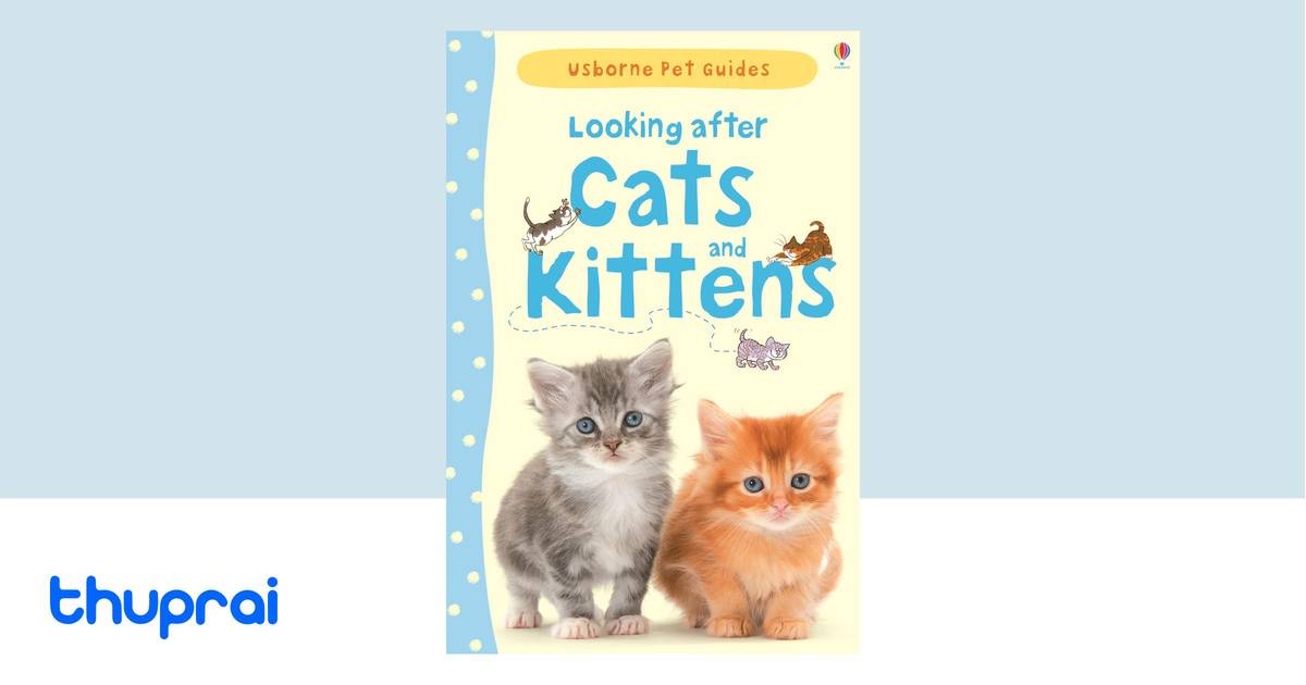 Buy Looking After Cats and Kittens in Nepal | Thuprai