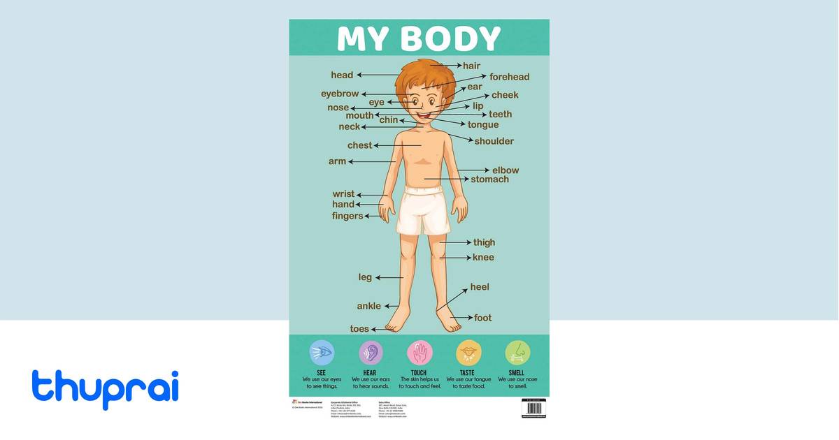 Buy My Body : Charts in Nepal | Thuprai