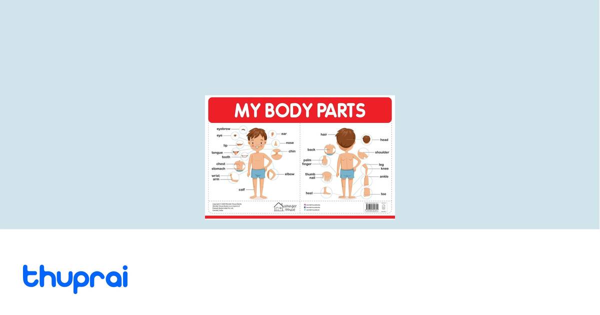 Buy My Body Parts - My First Early Learning Wall Chart: For Preschool ...