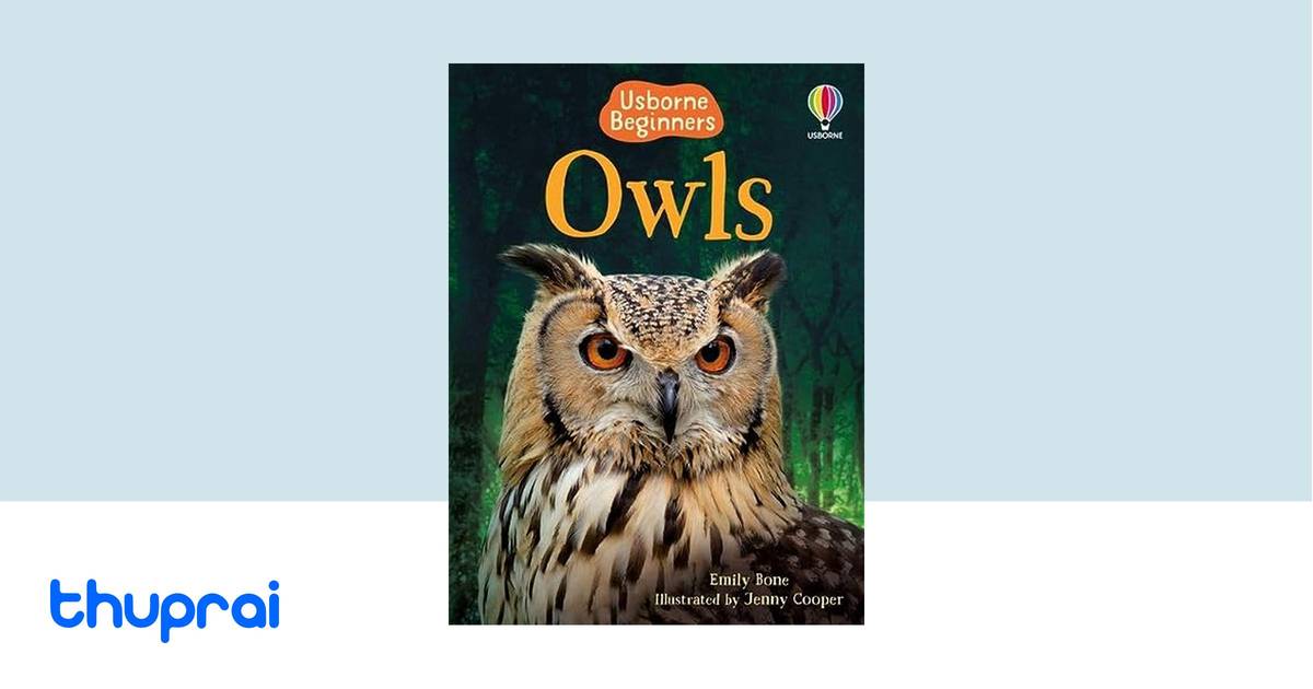 Buy Owls in Nepal | Thuprai