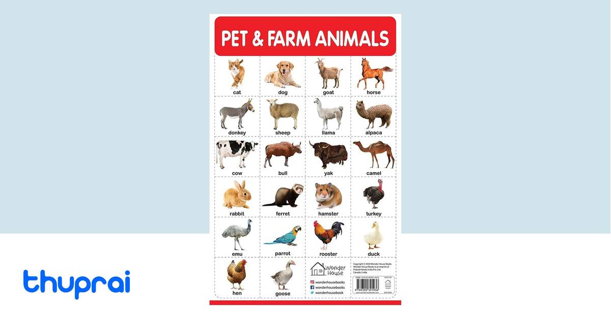 Buy Pet And Farm Animals - My First Early Learning Wall Chart: For ...
