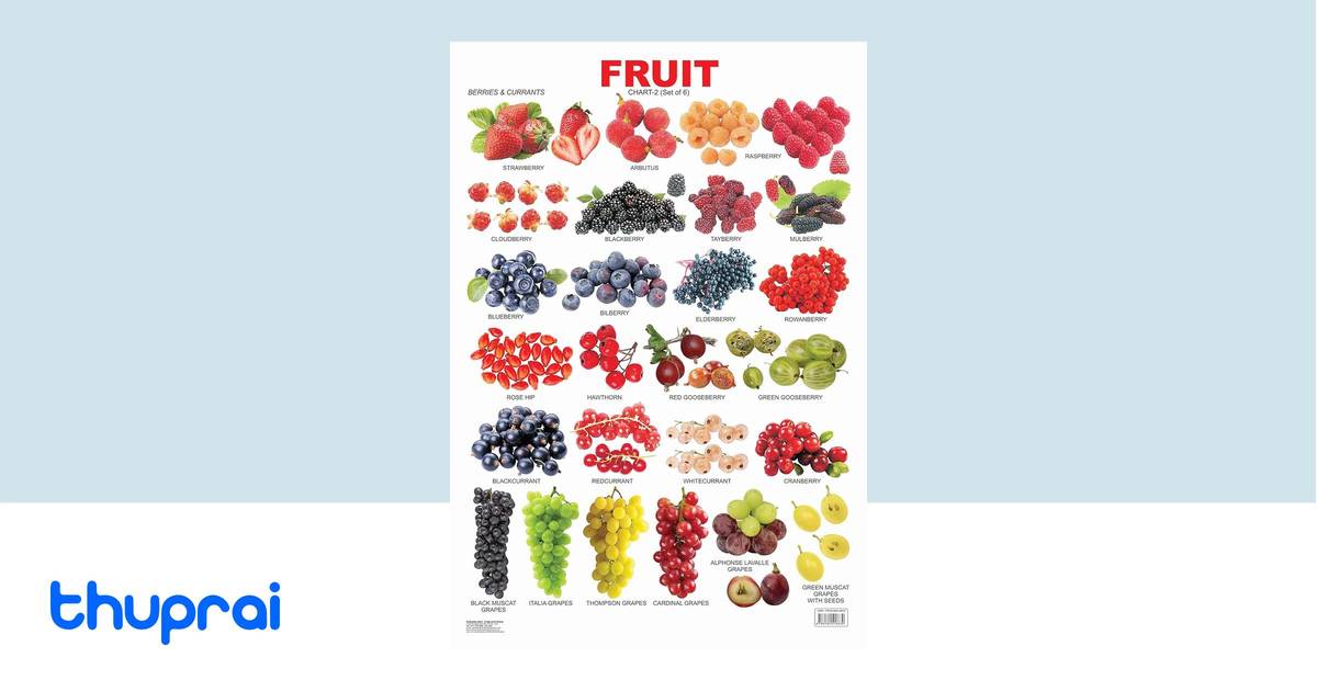 Buy PRE SCHOOL FRUIT CHARTS - 2 in Nepal | Thuprai