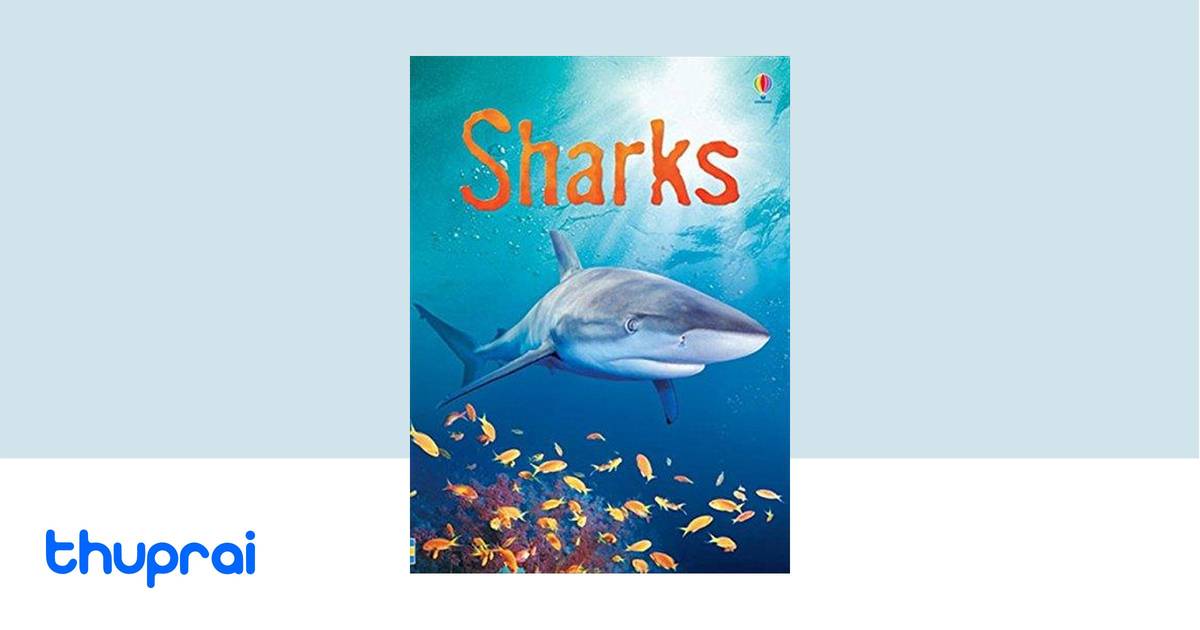 Buy Sharks (Usborne Beginners) (Beginners Series) in Nepal | Thuprai