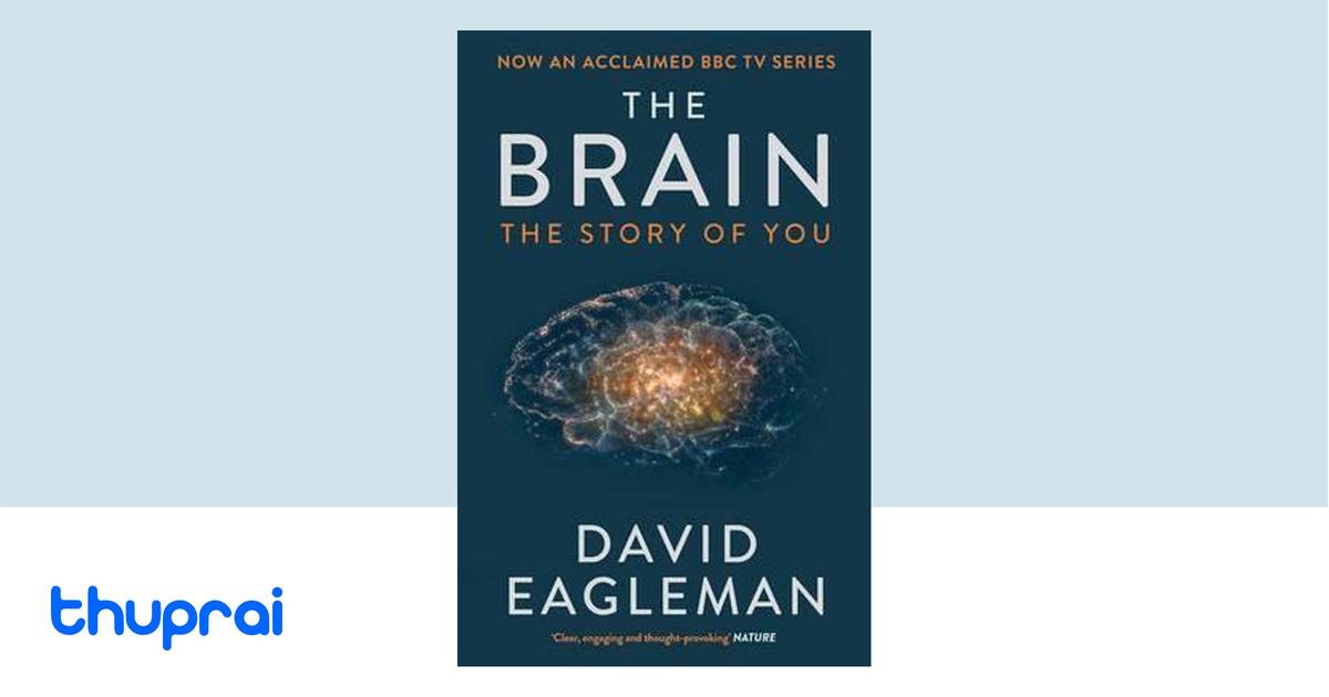 The Brain by David Eagleman - Buy in Nepal | Thuprai