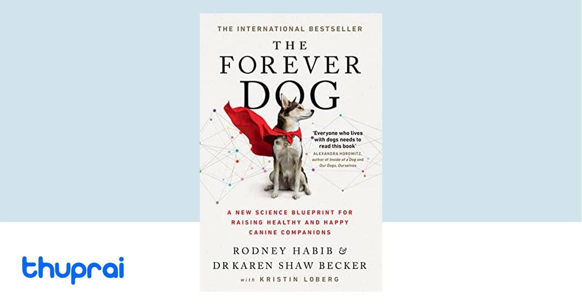 Buy The Forever Dog: The New York Times and Sunday Times Bestselling ...
