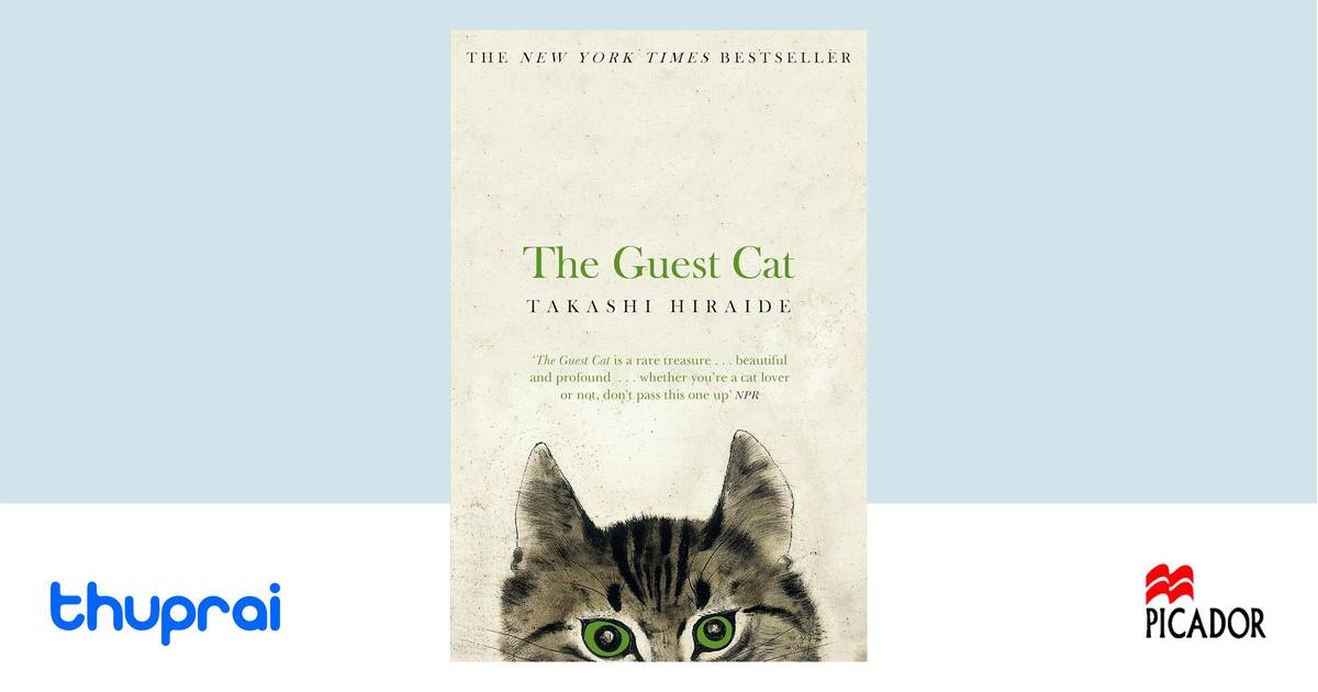 Buy The Guest Cat in Nepal | Thuprai