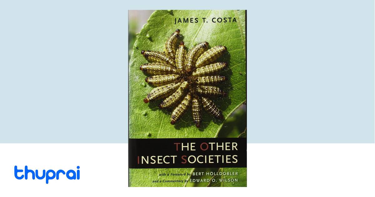 Buy The Other Insect Societies in Nepal | Thuprai