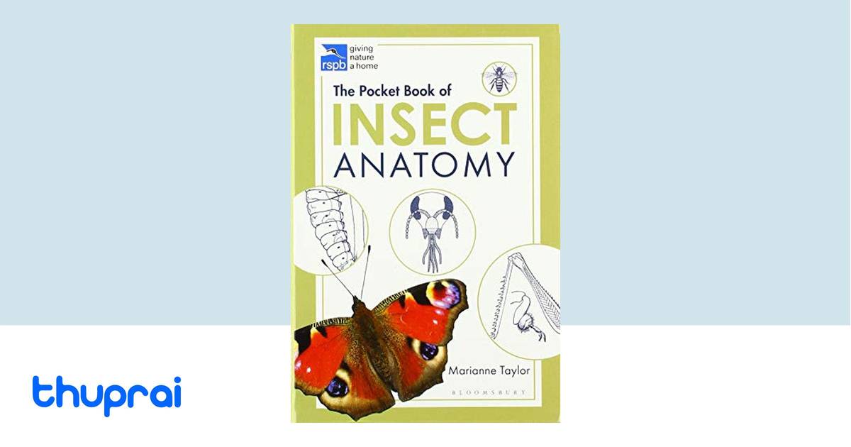 Buy The Pocket Book of Insect Anatomy in Nepal | Thuprai