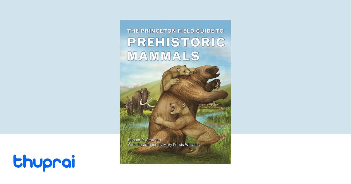 Buy The Princeton Field Guide to Prehistoric Mammals in Nepal | Thuprai