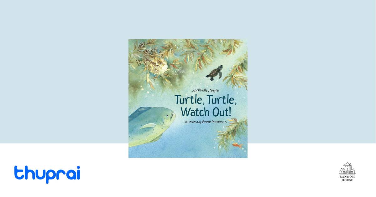 Buy Turtle, Turtle, Watch Out! in Nepal | Thuprai