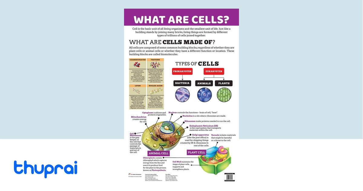 Buy What are Cells? : Charts in Nepal | Thuprai