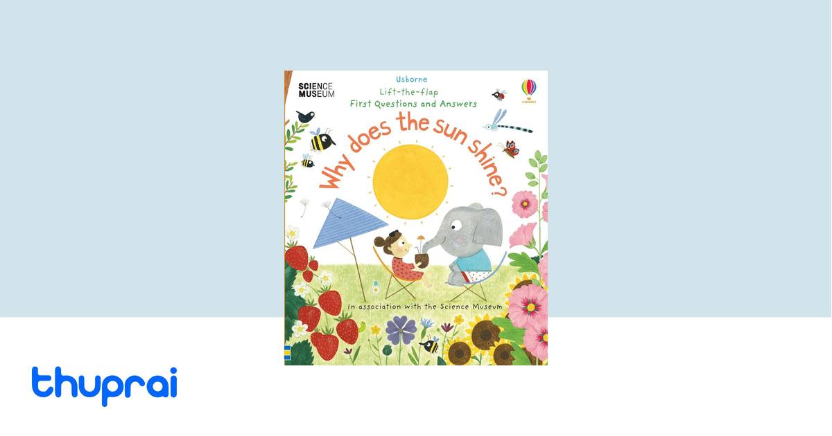 Buy Why Does the Sun Shine? (Lift the Flap First Questions and Answers ...