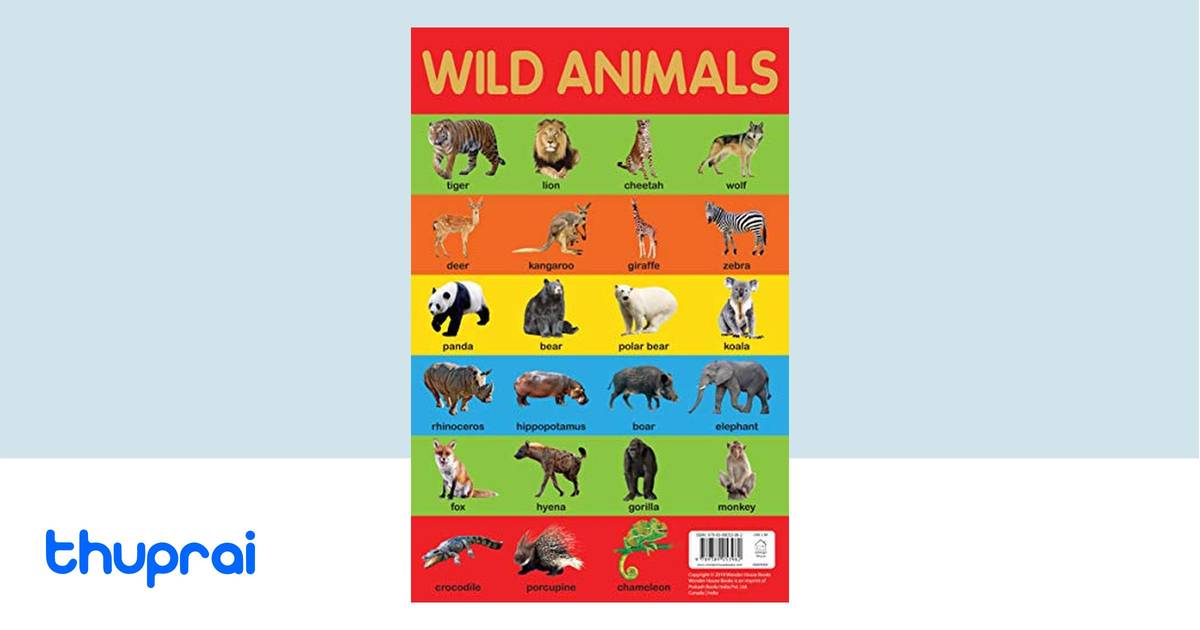 Buy Wild Animals Chart - Early Learning Educational Chart For Kids ...