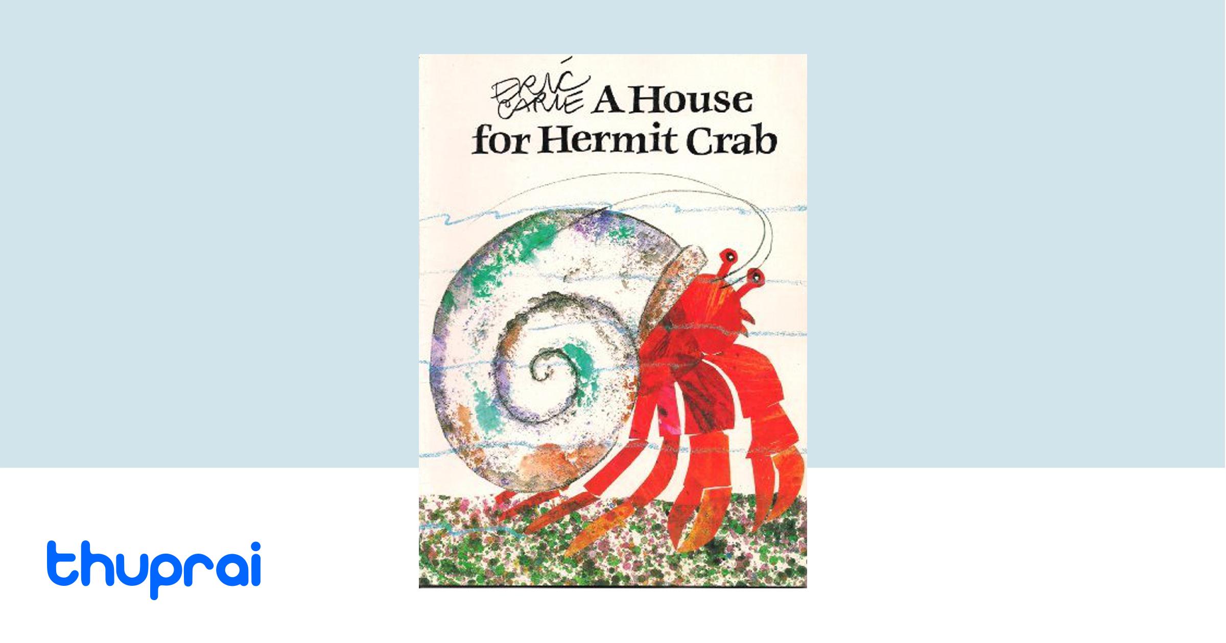 Buy A House for Hermit Crab in Nepal | Thuprai
