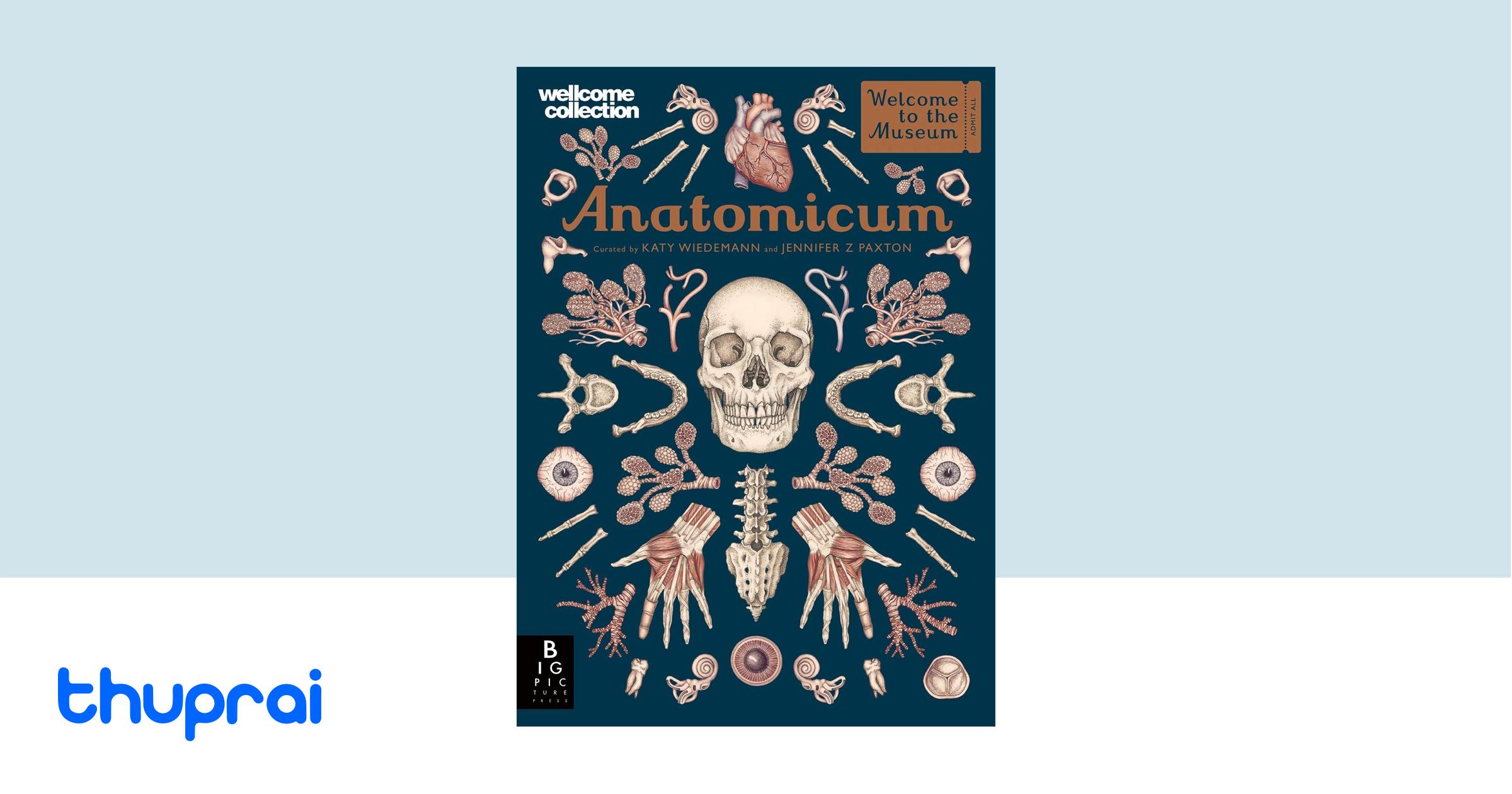 Buy Anatomicum in Nepal | Thuprai