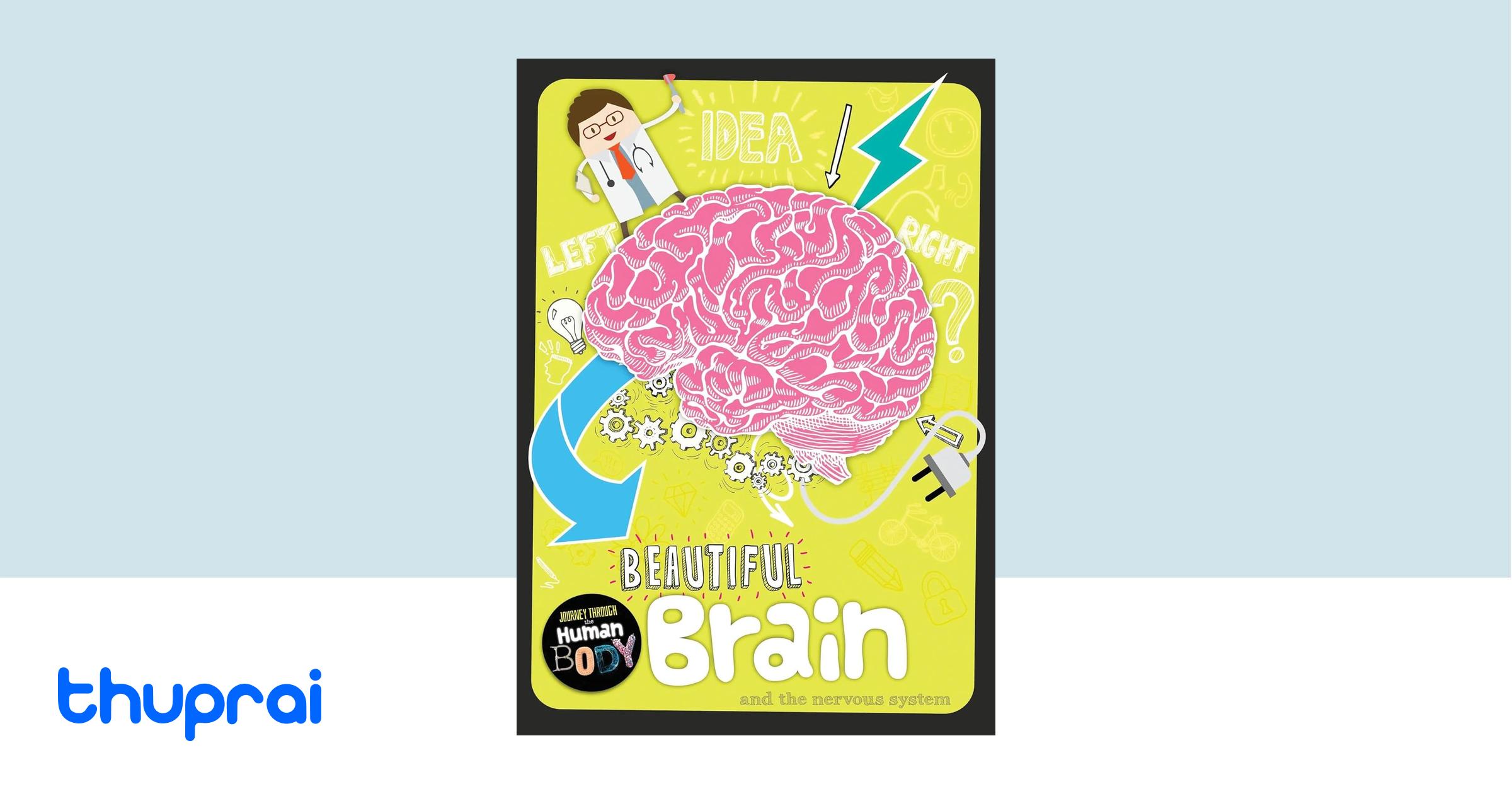 Buy Beautiful Brain and the Nervous System in Nepal | Thuprai