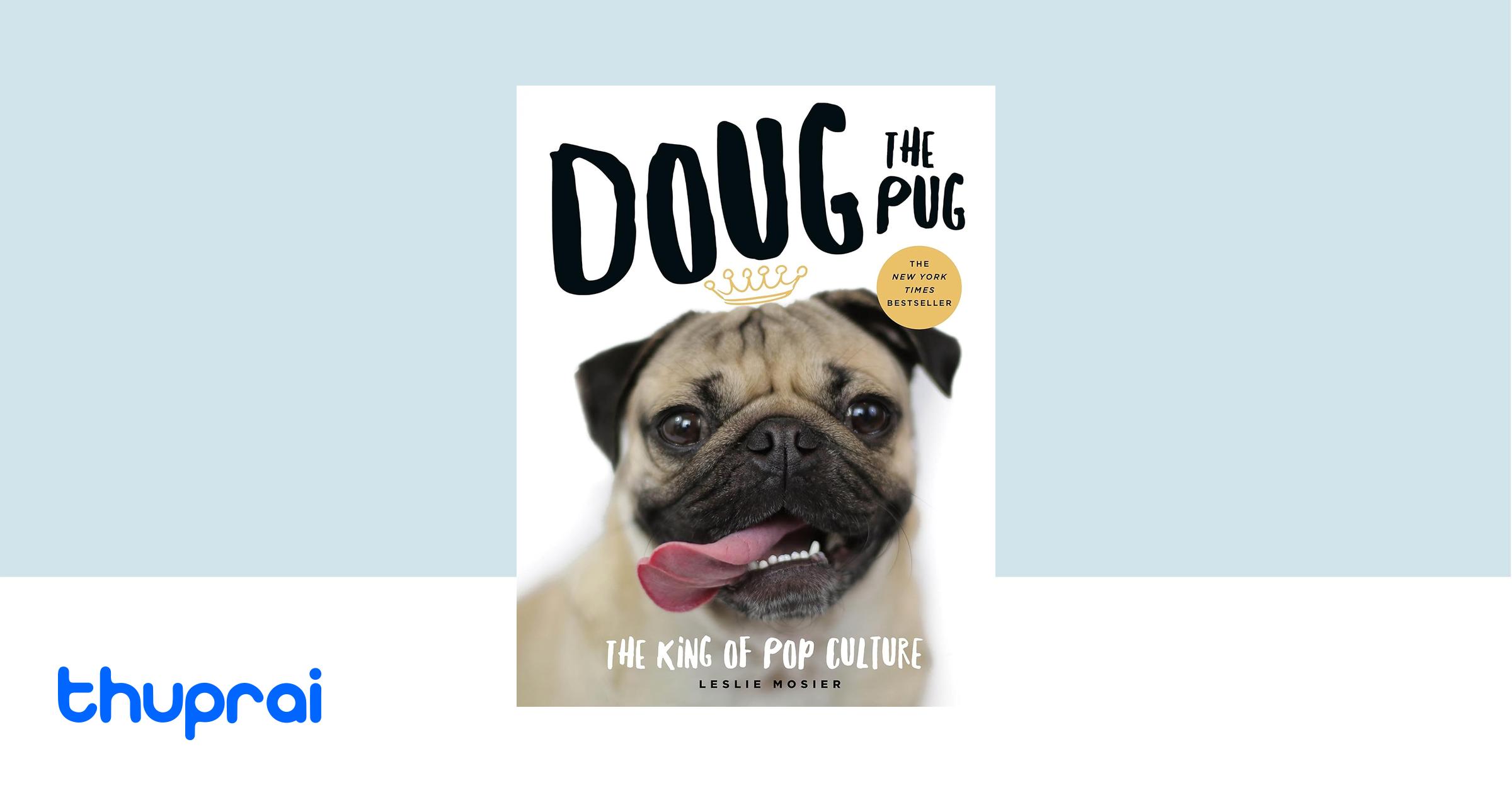Buy Doug the Pug in Nepal | Thuprai