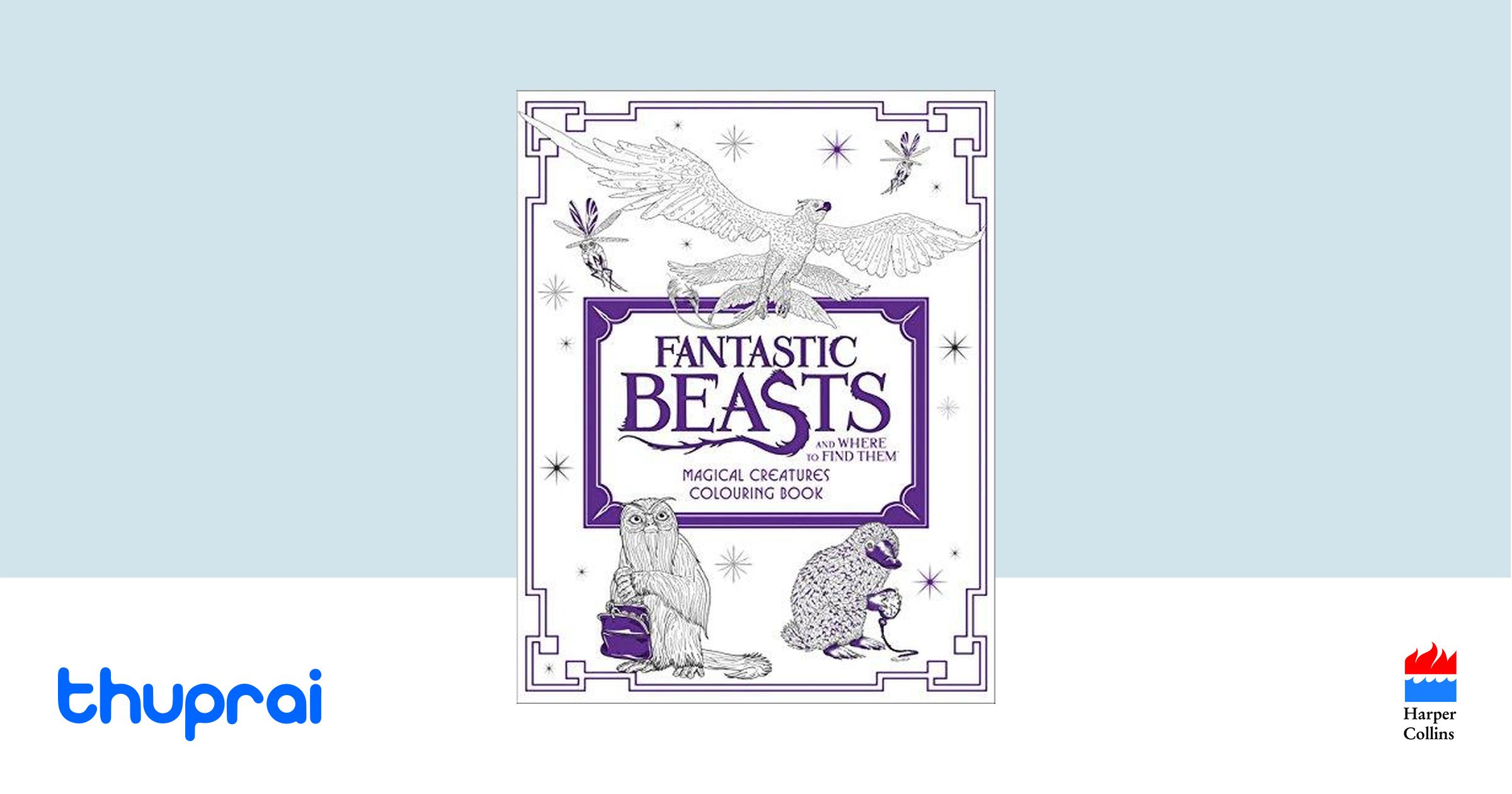Buy Fantastic Beasts and Where to Find Them: Magical Creatures ...