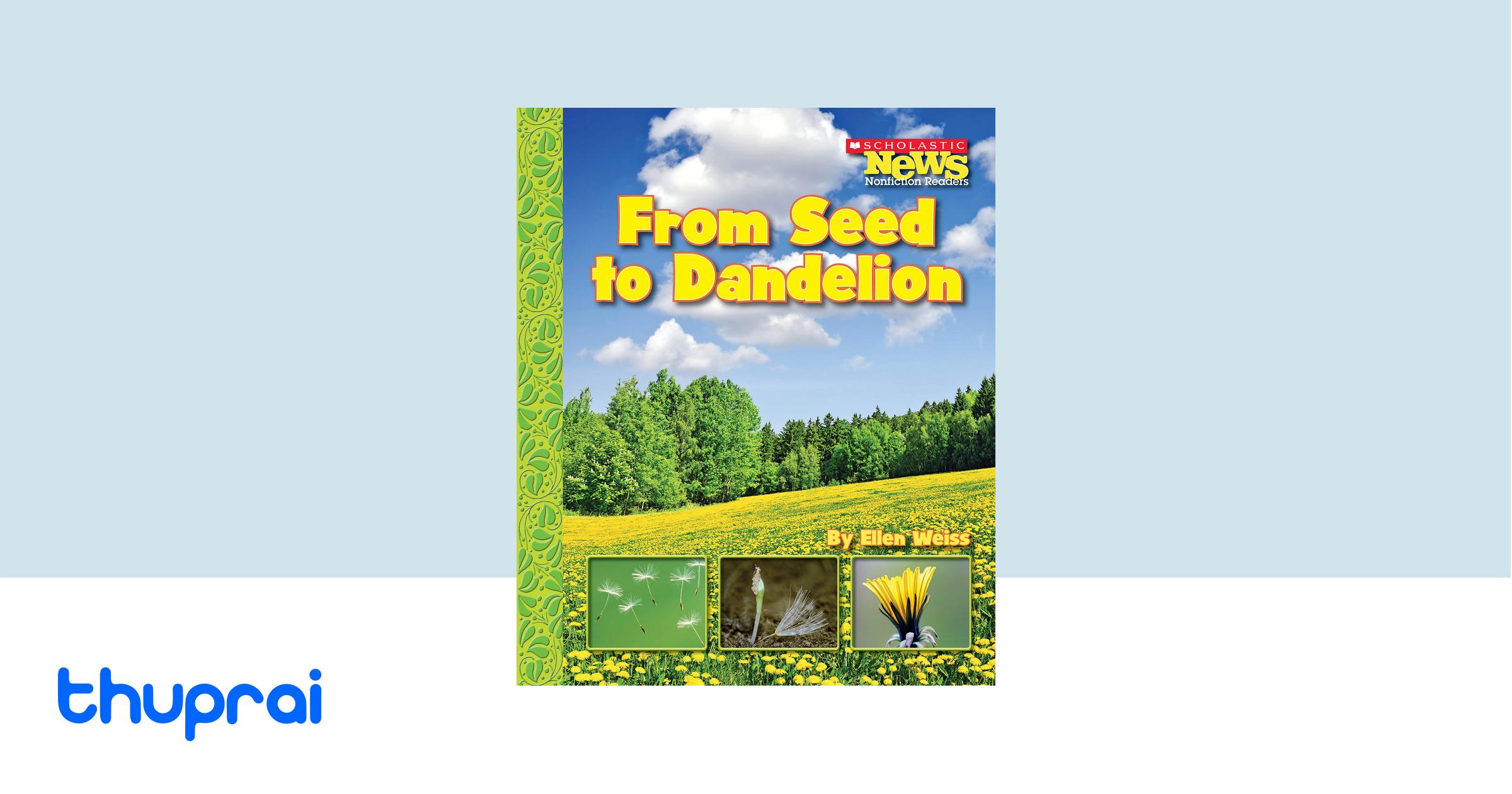 Buy From Seed to Dandelion (Scholastic News Nonfiction Readers: How ...