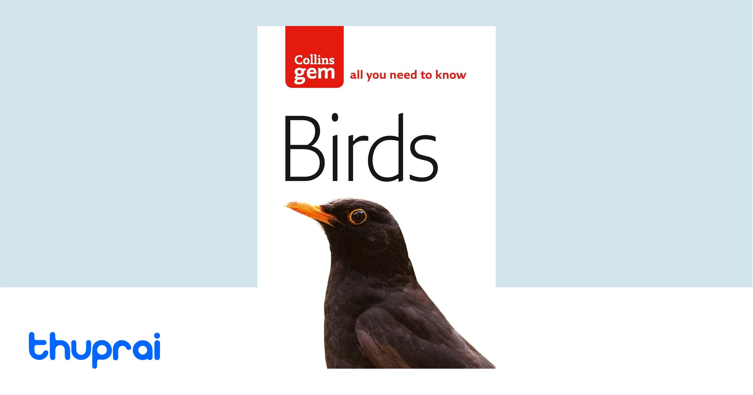 Buy Gem Birds in Nepal | Thuprai