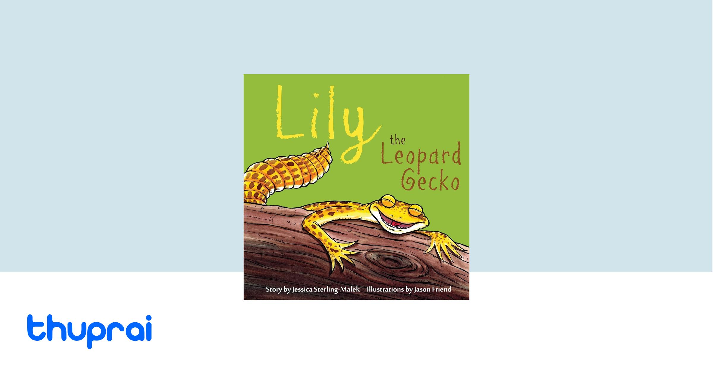 Buy Lily the Leopard Gecko in Nepal | Thuprai