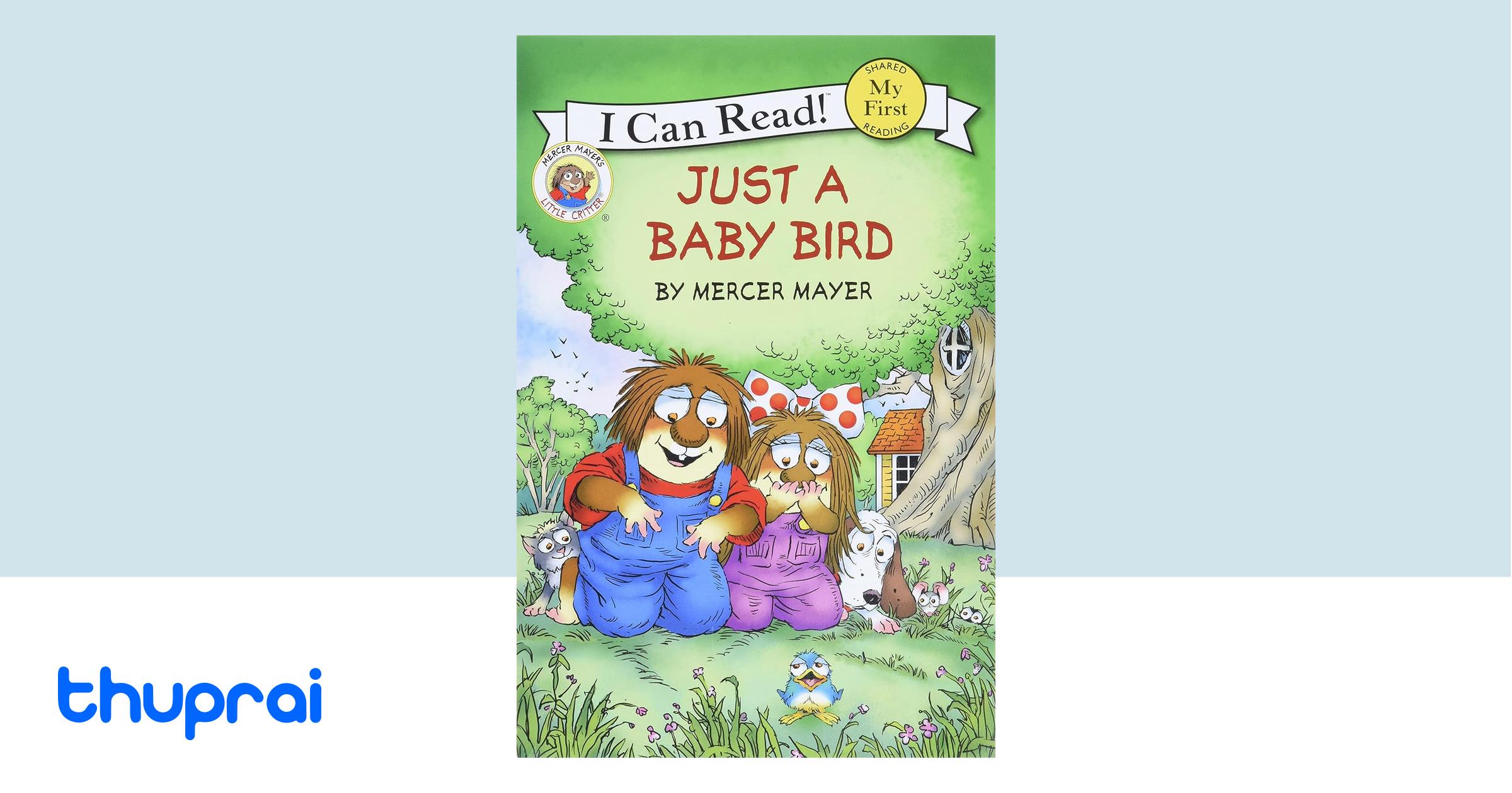 Buy Little Critter: Just a Baby Bird in Nepal | Thuprai