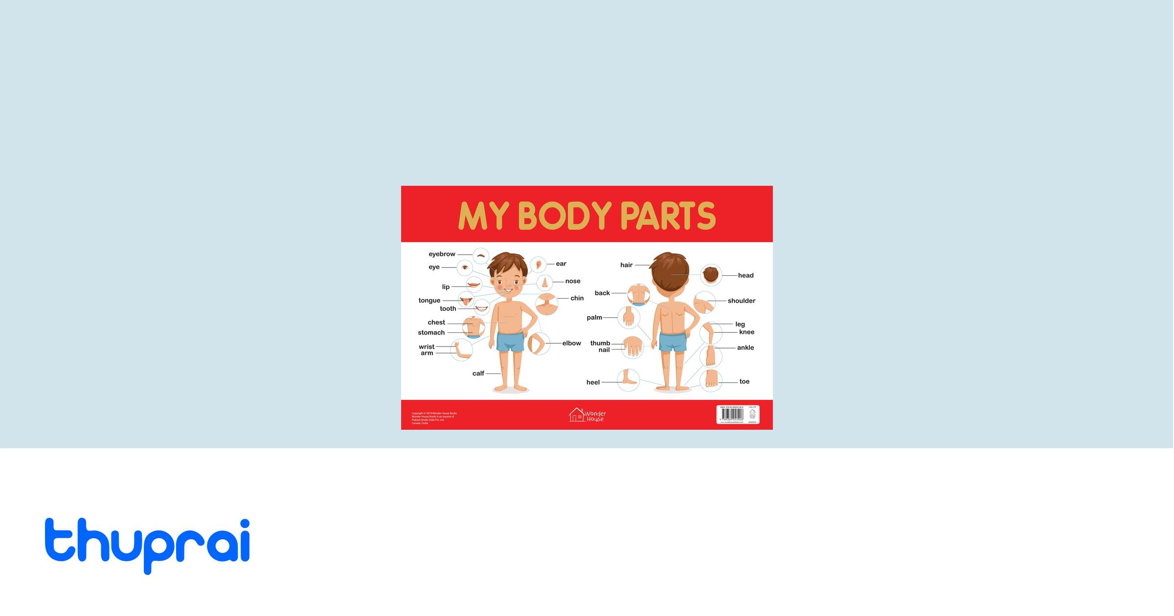 Buy My Body Parts Chart - Early Learning Educational Chart For Kids ...