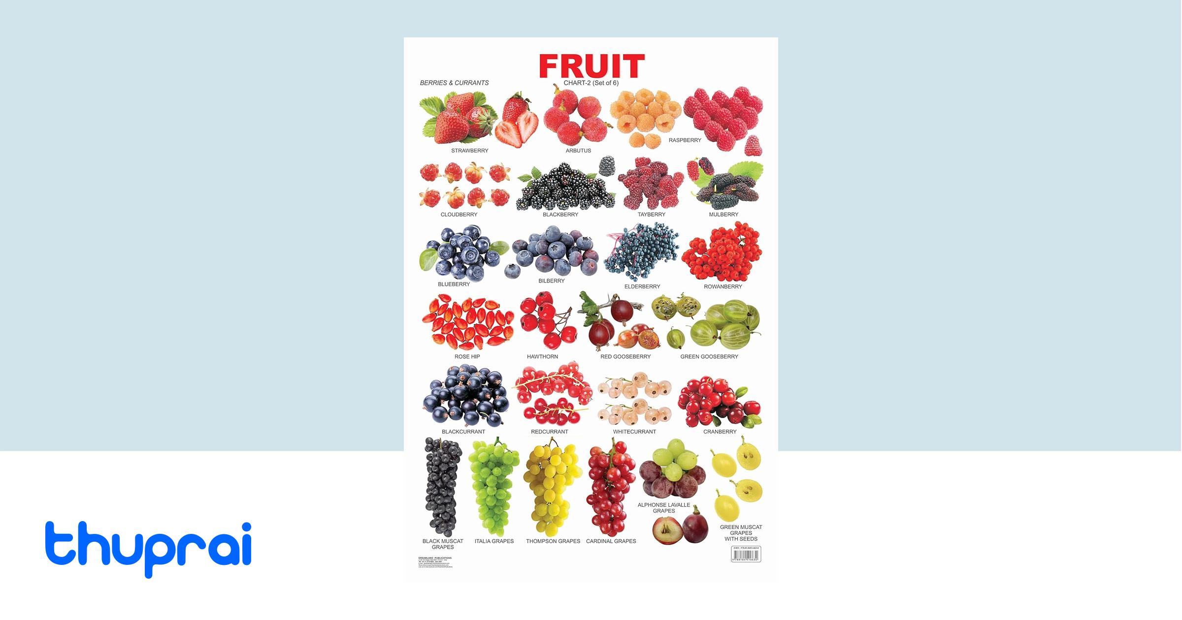 Buy PRE SCHOOL FRUIT CHARTS - 2 in Nepal | Thuprai