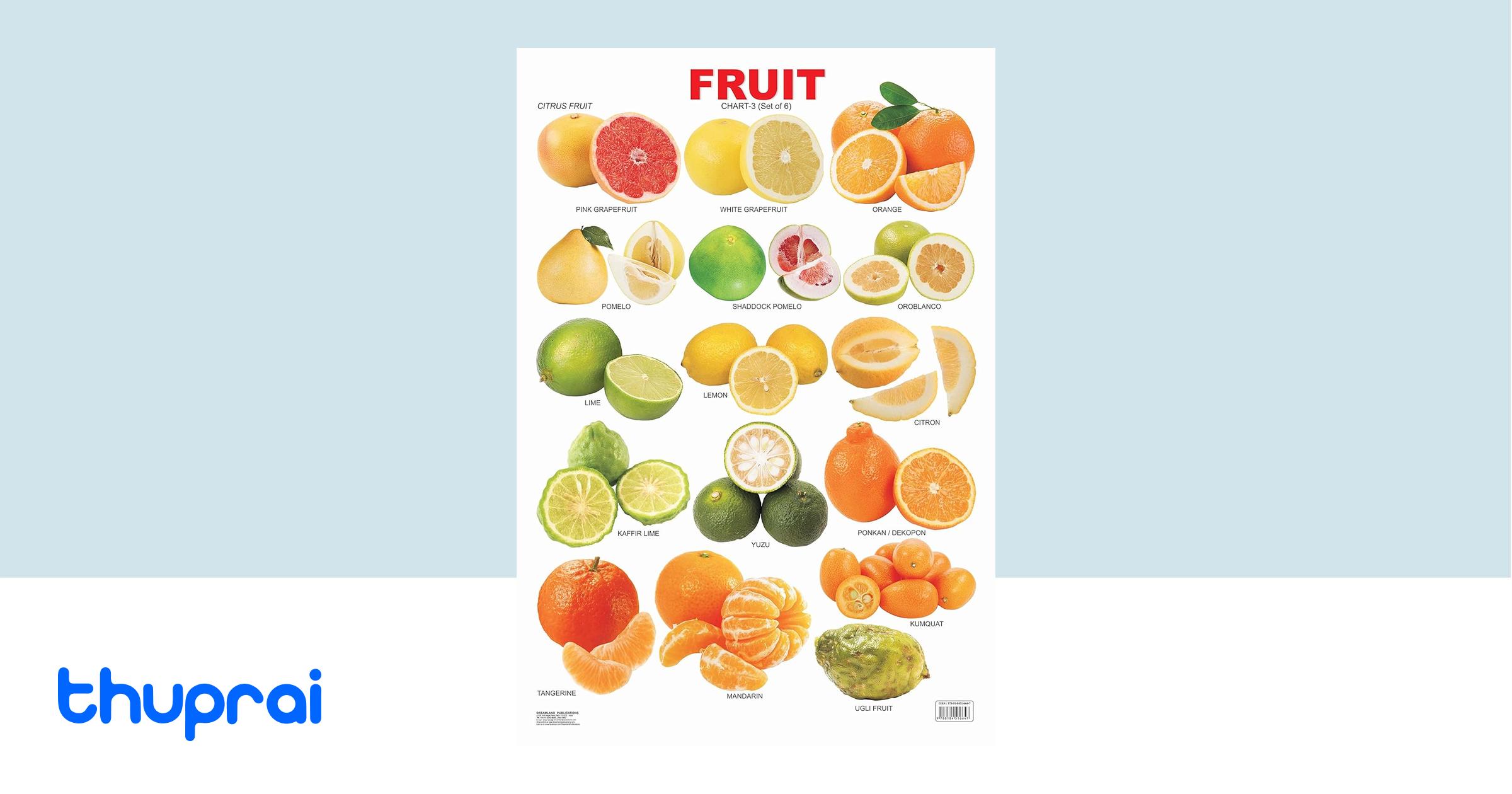 Buy PRE SCHOOL FRUIT CHARTS - 3 in Nepal | Thuprai
