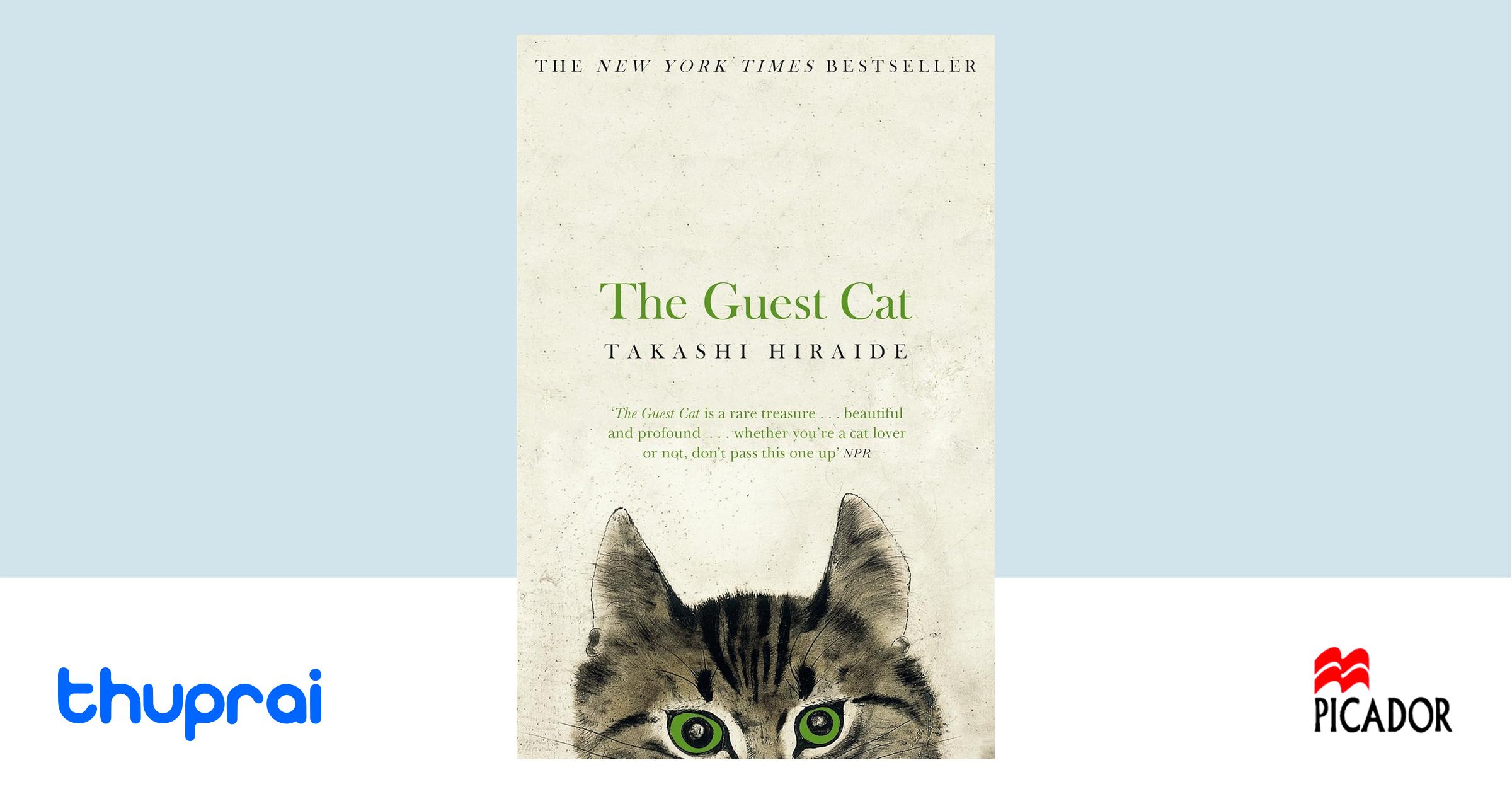 Buy The Guest Cat in Nepal | Thuprai