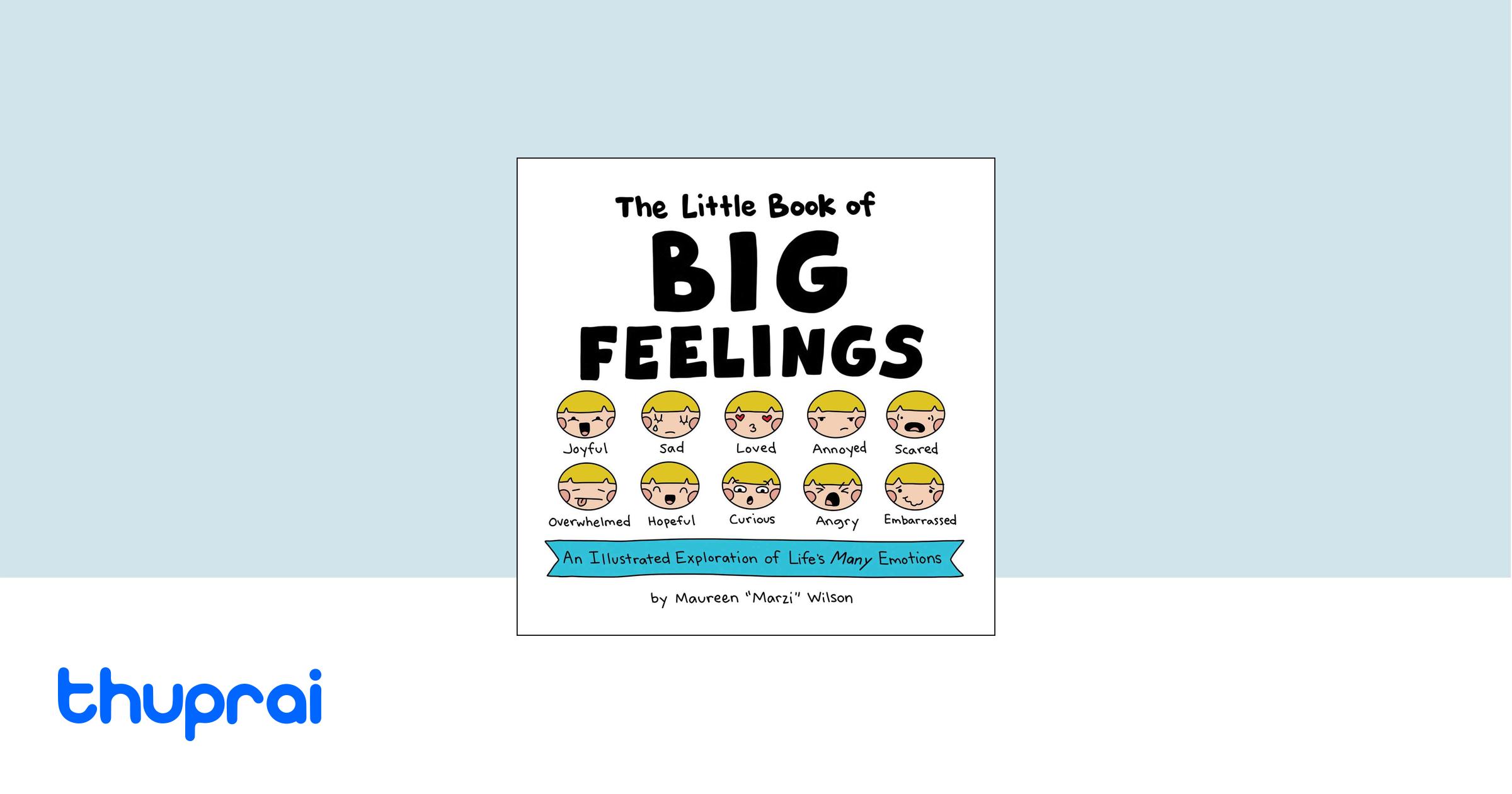 Buy The Little Book of Big Feelings: An Illustrated Exploration of Life ...