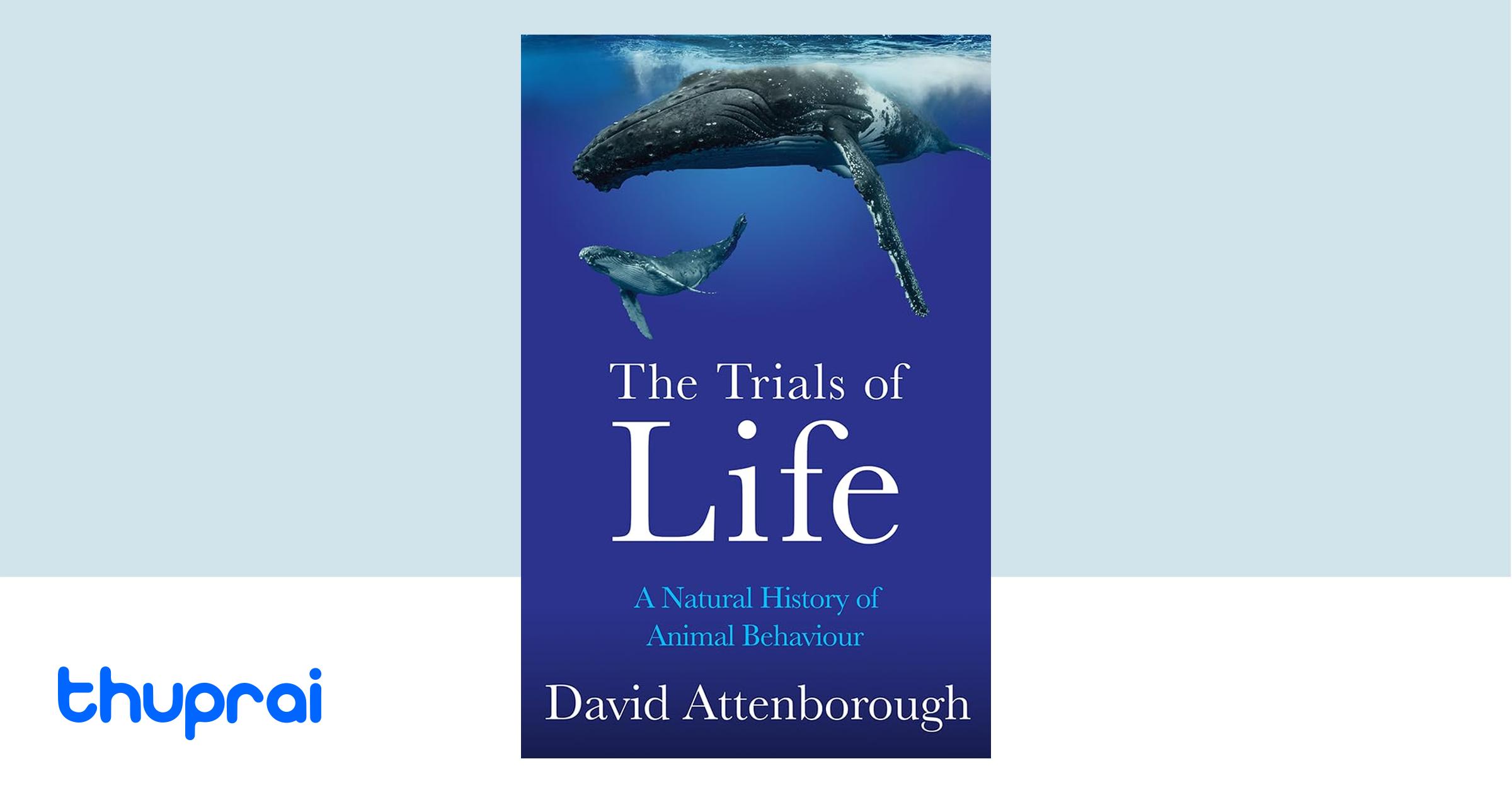 Buy THE TRIALS OF LIFE in Nepal | Thuprai